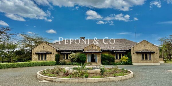 Peponi & Co | Residential Real Estate Agent in Nairobi, Kenya