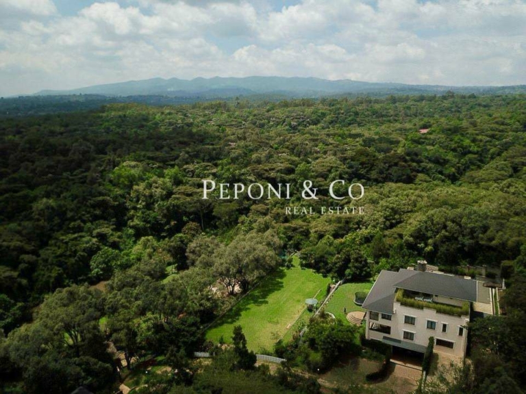 Peponi Real Estate - Peponi & Co